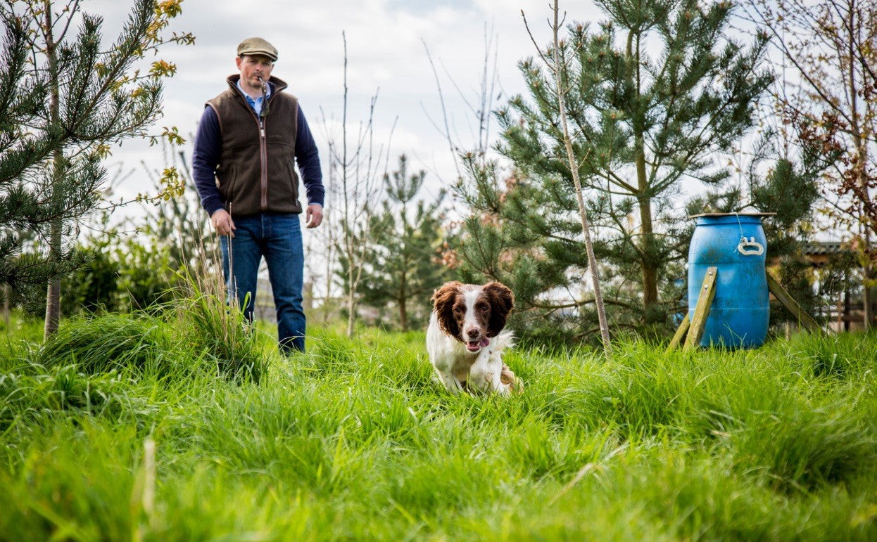 NOVICE GUN DOG TRAINING MASTERCLASS SATURDAY 28TH SEPTEMBER 2019 ...
