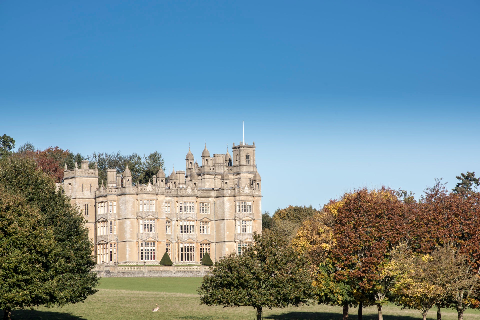 A simulated day fit for a King. Englefield Estate 2020 – Purdey Guns ...