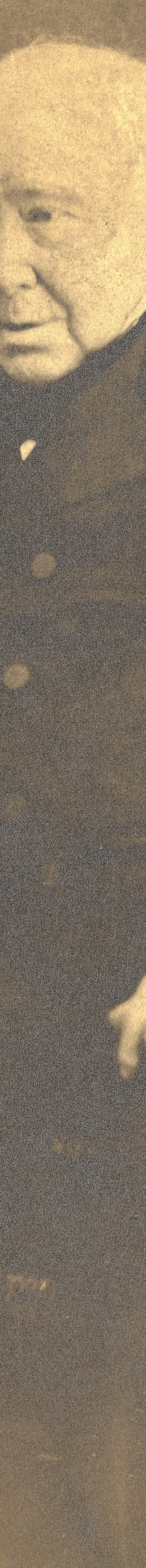 New Guns & Rifles | James Purdey & Sons Ltd – Purdey Guns & Rifles